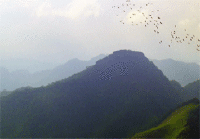 Mountains GIFs - Get the best gif on GIFER