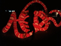 Lumen GIFs - Get the best gif on GIFER