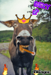 Ane GIFs - Get the best gif on GIFER