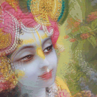 India GIFs - Get the best gif on GIFER