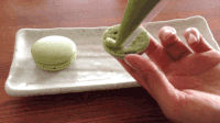 Macaroon GIFs - Get the best gif on GIFER