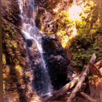 Trail GIFs - Get the best gif on GIFER