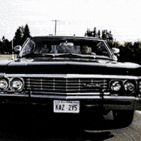 1964 GIFs - Get the best gif on GIFER