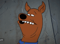 Zoink GIFs - Get the best gif on GIFER