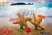 Shell GIFs - Get the best gif on GIFER