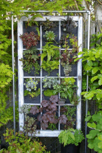 Garden GIFs - Get the best gif on GIFER