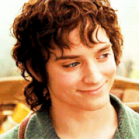 Frodos GIFs - Get the best gif on GIFER