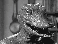 Alligator GIFs - Get the best gif on GIFER