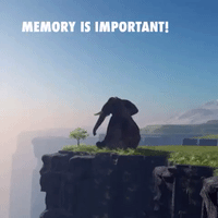 Memory GIFs - Get the best gif on GIFER