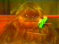 Wookie GIFs - Get the best gif on GIFER
