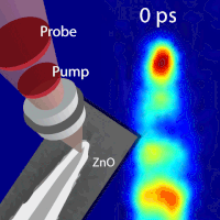 Microscopy GIFs - Get the best gif on GIFER