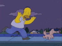 Miscommunication GIF - Conseguir o melhor gif em GIFER