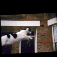 35 GIFs - Get the best gif on GIFER