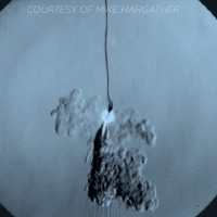 Dynamic GIFs - Get the best gif on GIFER