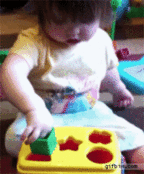 Baby tries to put a square peg in a GIF - Conseguir o melhor gif em GIFER