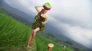 Antm 20 GIFs - Get the best gif on GIFER