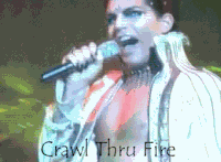 2008 GIFs - Get the best gif on GIFER