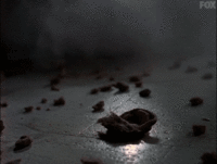 Secreto GIFs - Get the best gif on GIFER