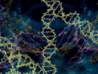 Biology GIFs - Get the best gif on GIFER