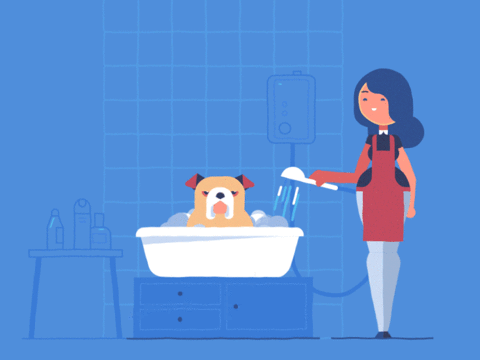 Dog wash GIF - Conseguir o melhor gif em GIFER