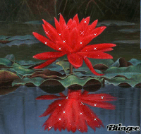 Lotus GIFs - Get the best gif on GIFER