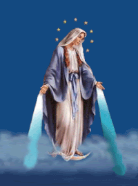 Maria GIFs - Get the best gif on GIFER