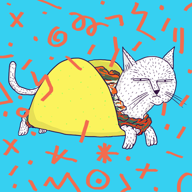 Taco cat GIF - Conseguir o melhor gif em GIFER