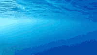 Underwater GIFs - Get the best gif on GIFER