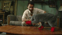 Charlie day GIFs - Get the best gif on GIFER