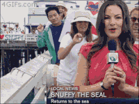 Snuffy GIFs - Get the best gif on GIFER