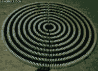 Shelf GIFs - Get the best gif on GIFER