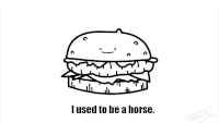 Explain GIFs - Get the best gif on GIFER