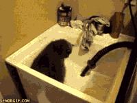 Hose GIFs - Get the best gif on GIFER