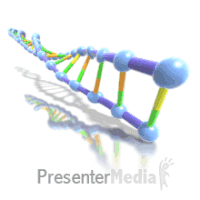 Adn GIFs - Obtenez le meilleur gif sur GIFER