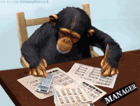 Chimp GIFs - Get the best gif on GIFER