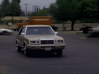 Beige GIFs - Get the best gif on GIFER