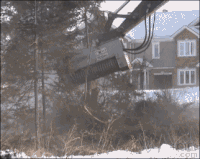Deforestation GIFs - Get the best gif on GIFER