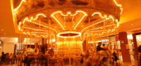 Carousel GIFs - Get the best gif on GIFER