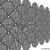 Carapaces GIF - Conseguir o melhor gif em GIFER