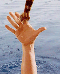 Suspiro GIFs - Get the best gif on GIFER