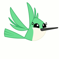 Hummingbird GIFs - Get the best gif on GIFER