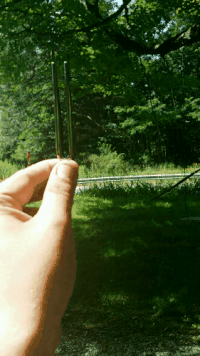 Tuning out GIFs - Get the best gif on GIFER