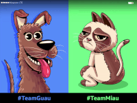 Animo GIF - Conseguir el mejor gif en GIFER