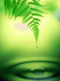 Vegetation GIFs - Get the best gif on GIFER