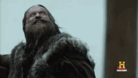 Vikings GIFs - Get the best gif on GIFER