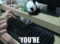Grammar GIFs - Get the best gif on GIFER