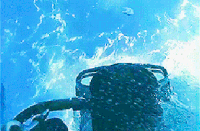 Diving GIFs - Get the best gif on GIFER