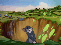Show GIFs - Get the best gif on GIFER