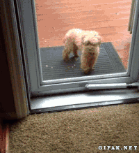 Teamwork GIFs - Get the best gif on GIFER