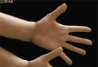 Five GIFs - Get the best gif on GIFER